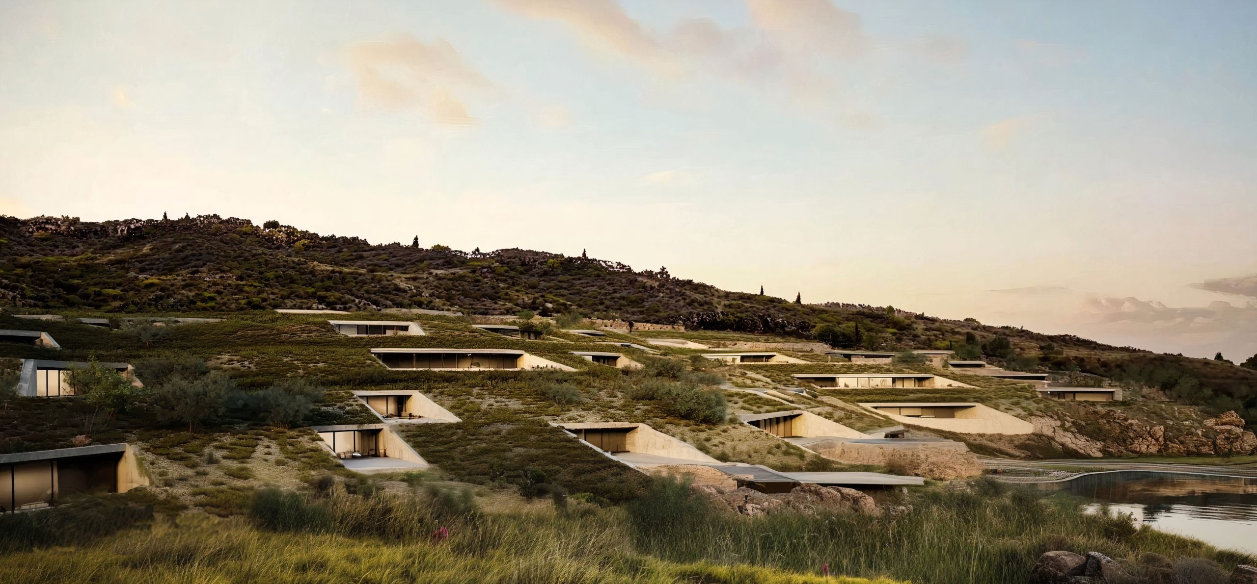 Mold Architects