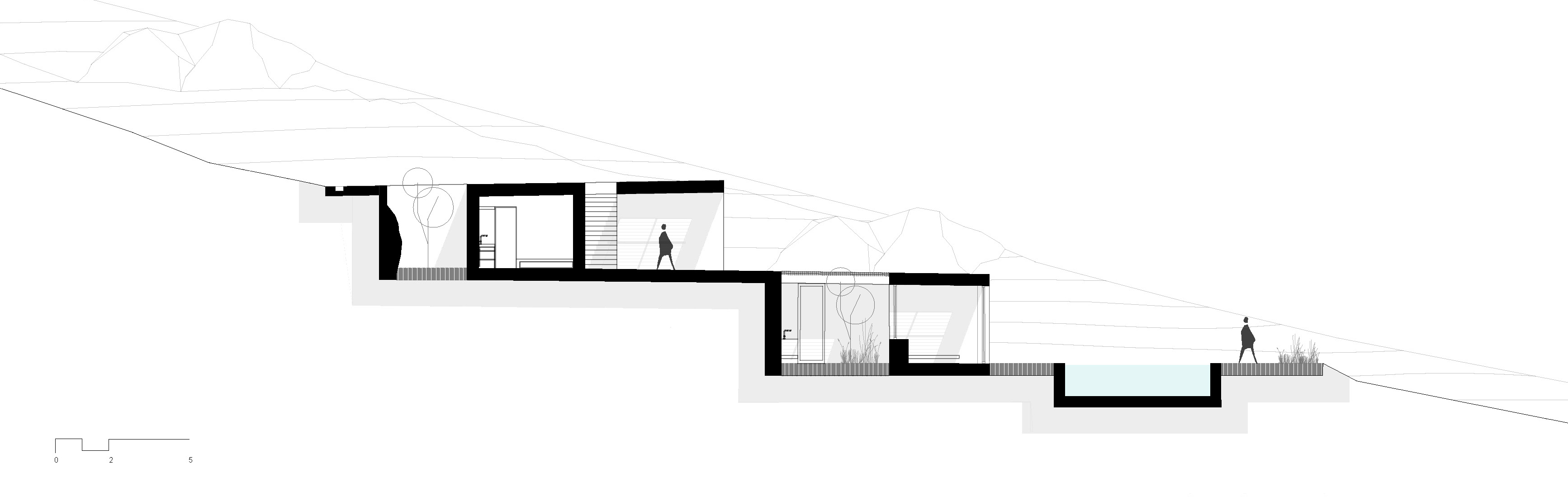 Mold Architects